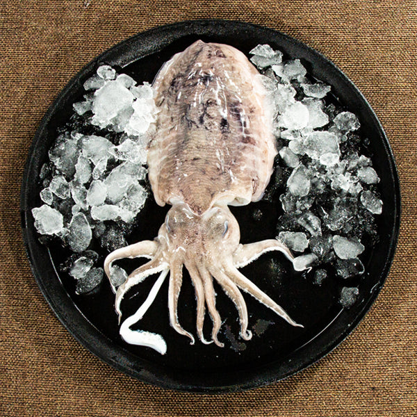 Cuttle Fish | Kanavai – FreshKatch