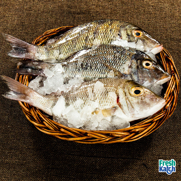 Emperor Fish (Medium Size) | Vilai Meen – FreshKatch